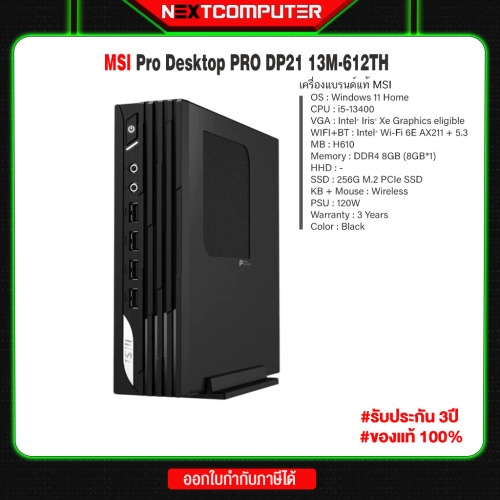 MSI Pro Desktop PRO DP21 13M-612TH | Thisshop