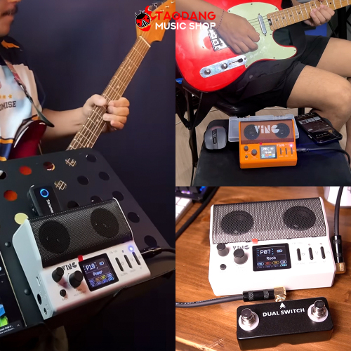 Ving Flybro FB-100 สมาร์ทแอมป์ Ving FB100 Smart Amplifier - เต่าแดง Set 1 Black | Thisshop