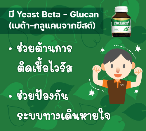 Amsel Plu-kaow Extract Plus Beta Glucan เสริมภูมิคุ้มกันของร่างกาย (30 ...