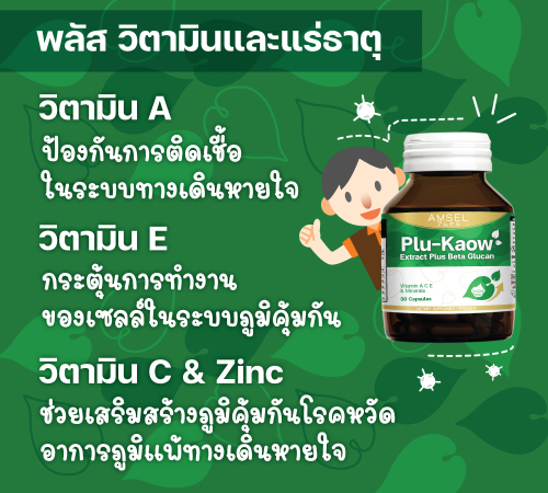 Amsel Plu-kaow Extract Plus Beta Glucan เสริมภูมิคุ้มกันของร่างกาย (30 ...