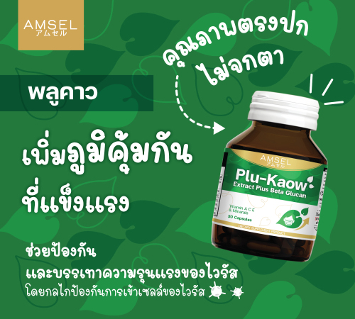 Amsel Plu-kaow Extract Plus Beta Glucan เสริมภูมิคุ้มกันของร่างกาย (30 ...